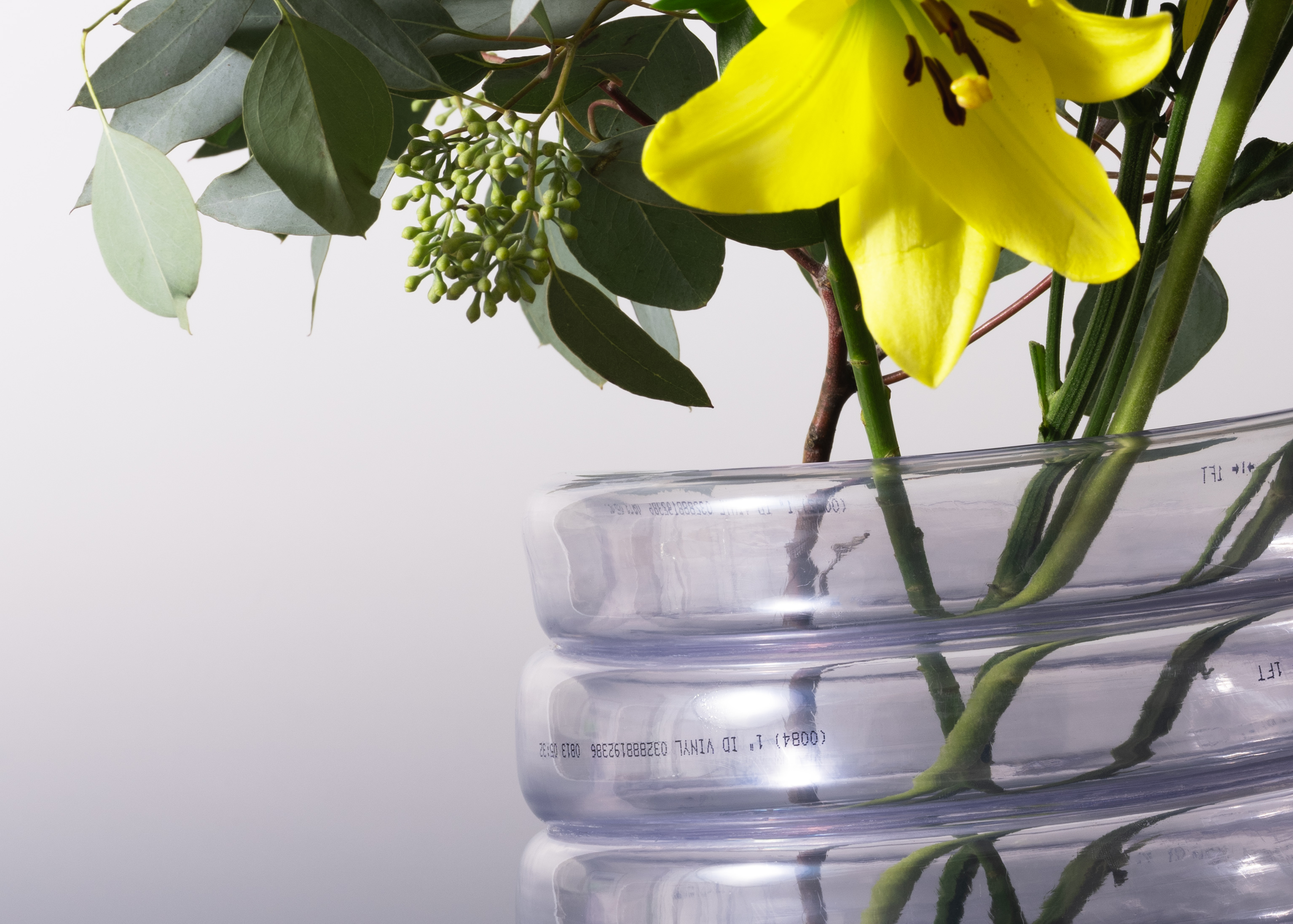 PHAN THAO DANG — Vinyl Vessels