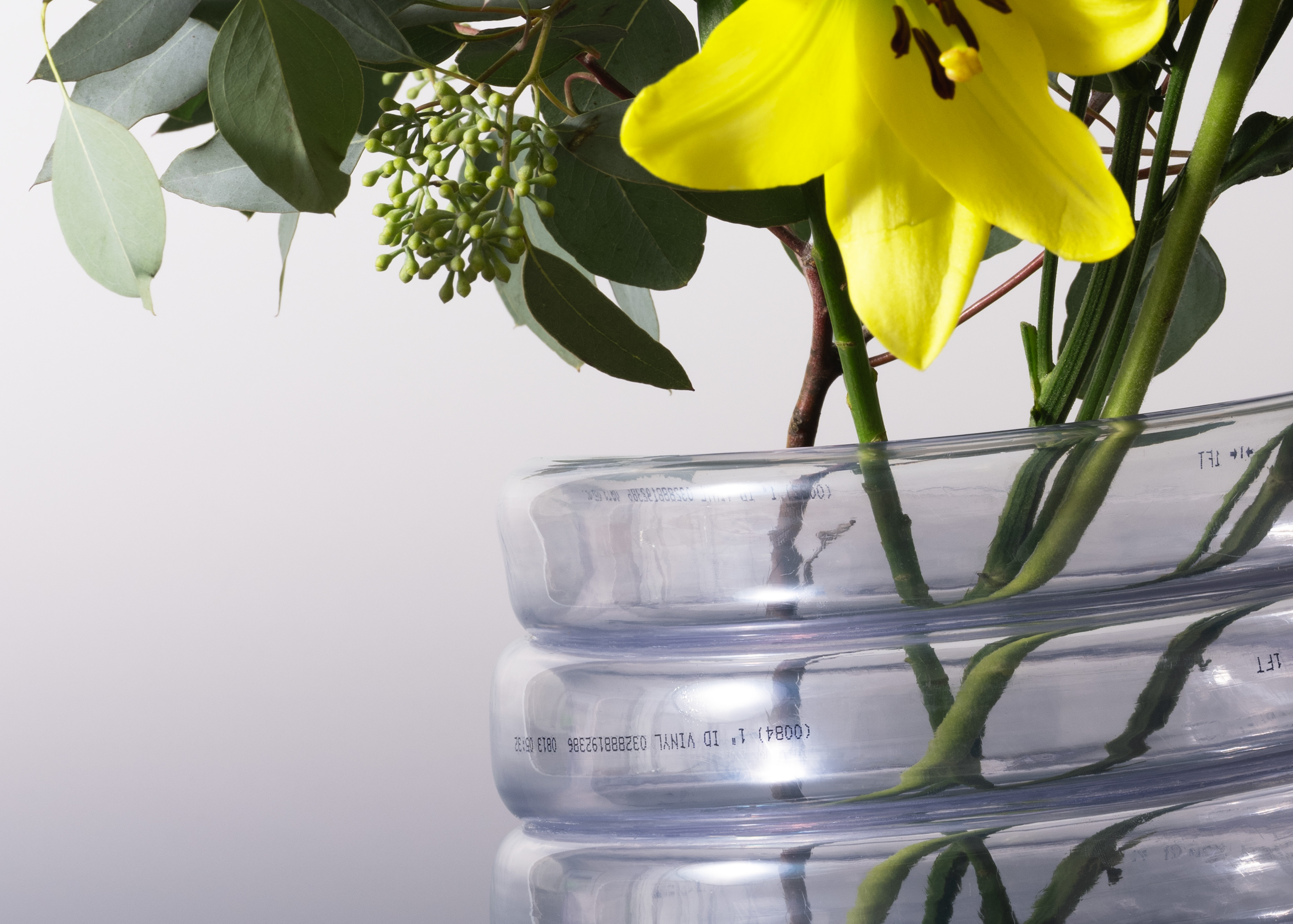 PHAN THAO DANG — Vinyl Vessels