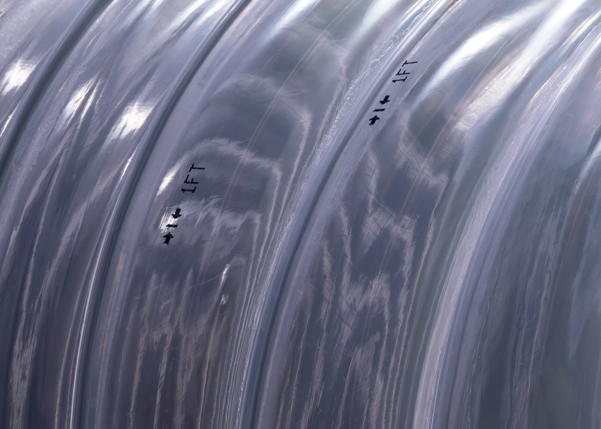 PHAN THAO DANG — Vinyl Vessels