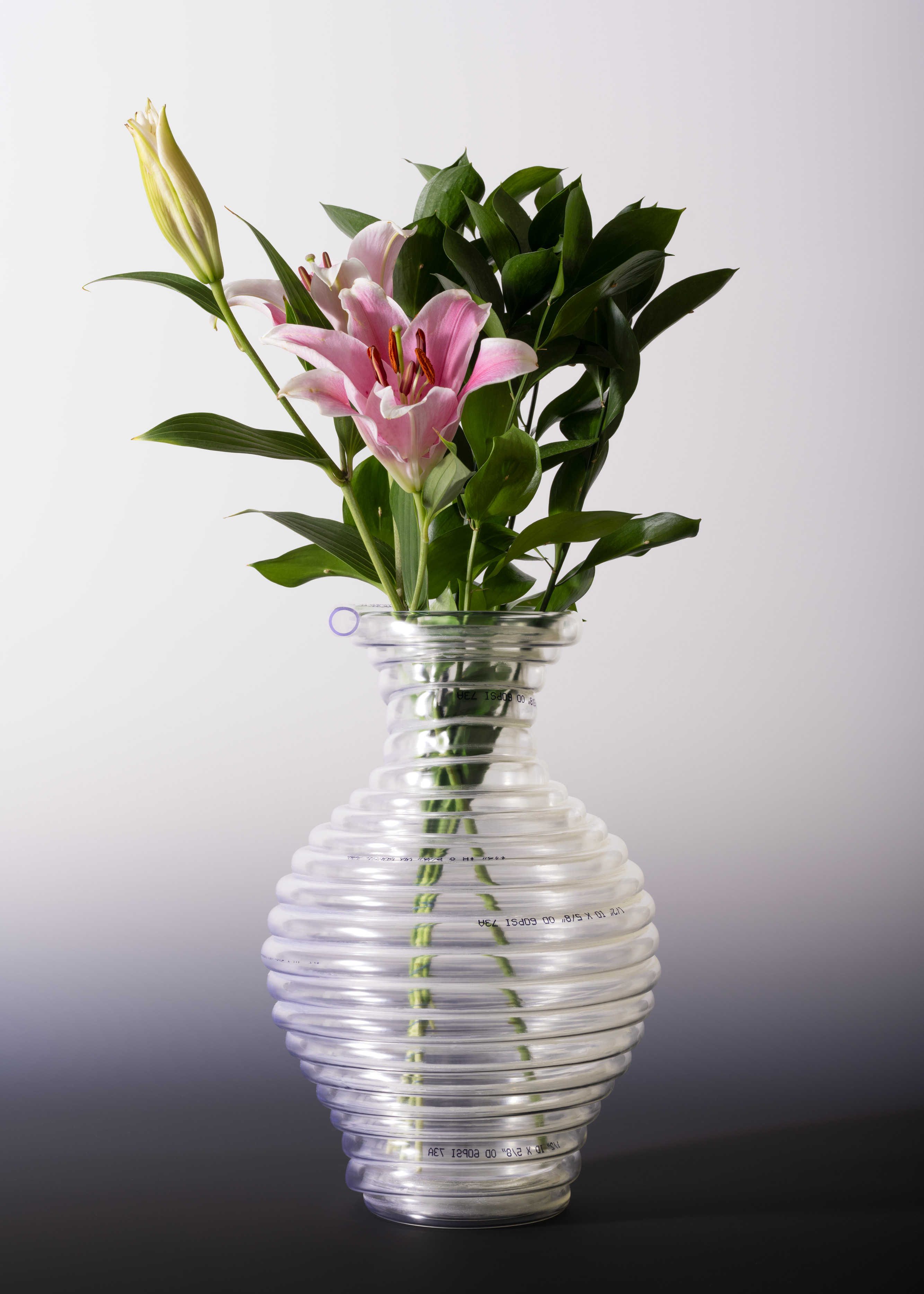 PHAN THAO DANG — Vinyl Vessels