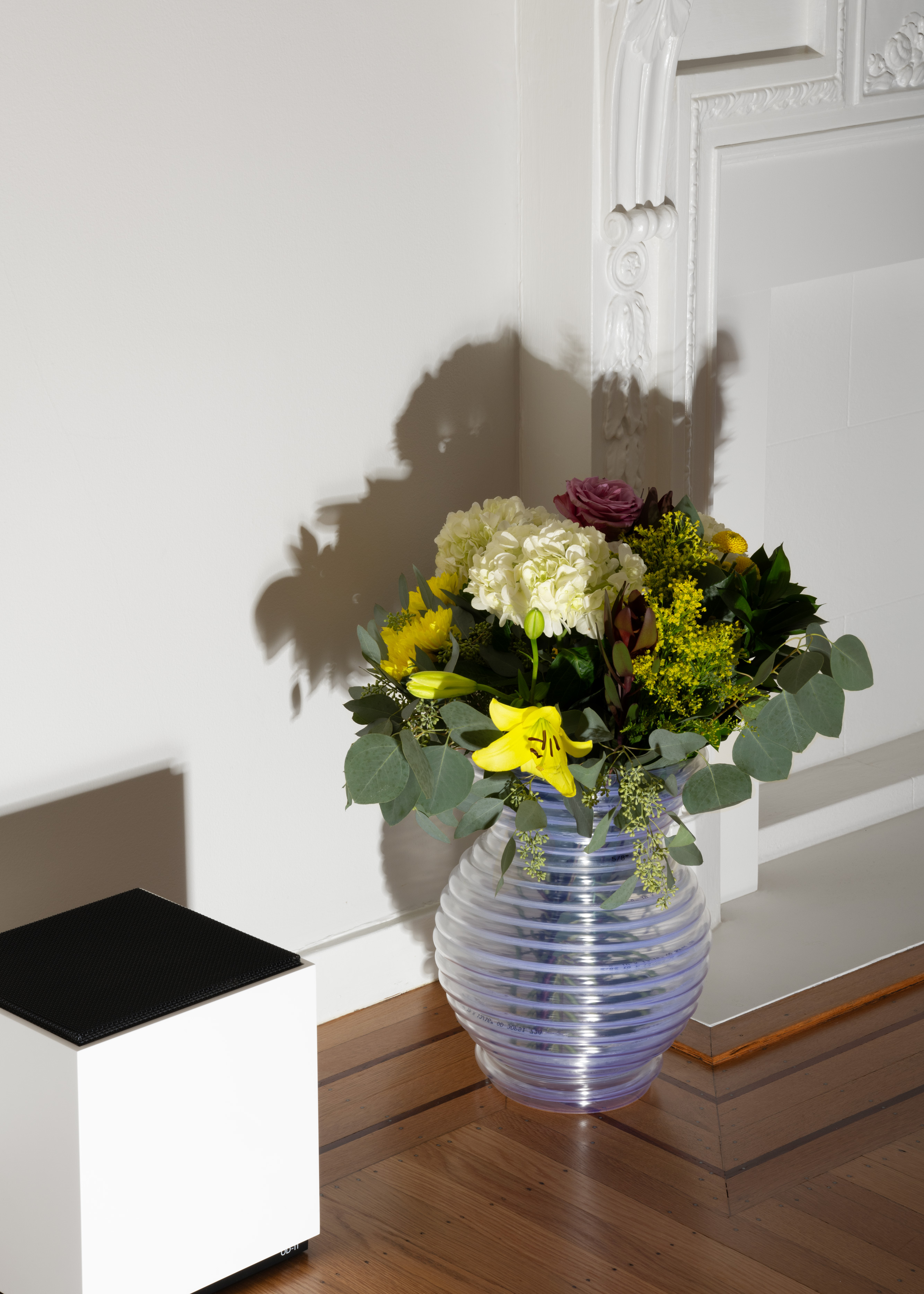 PHAN THAO DANG — Vinyl Vessels